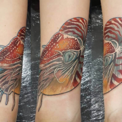 Stafford - Vivid Ink Tattoos | The UK Tattoo Studios Chain