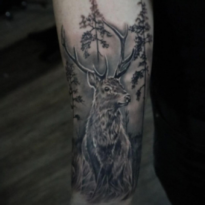 Sutton - Vivid Ink Tattoos | The UK Tattoo Studios Chain