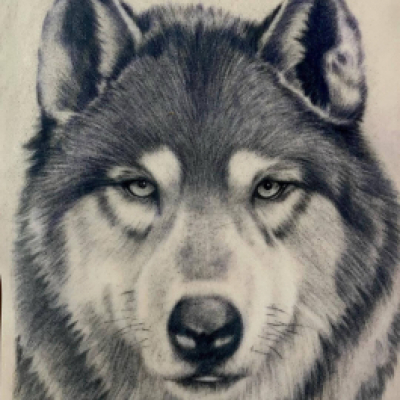 Sutton - Vivid Ink Tattoos | The UK Tattoo Studios Chain